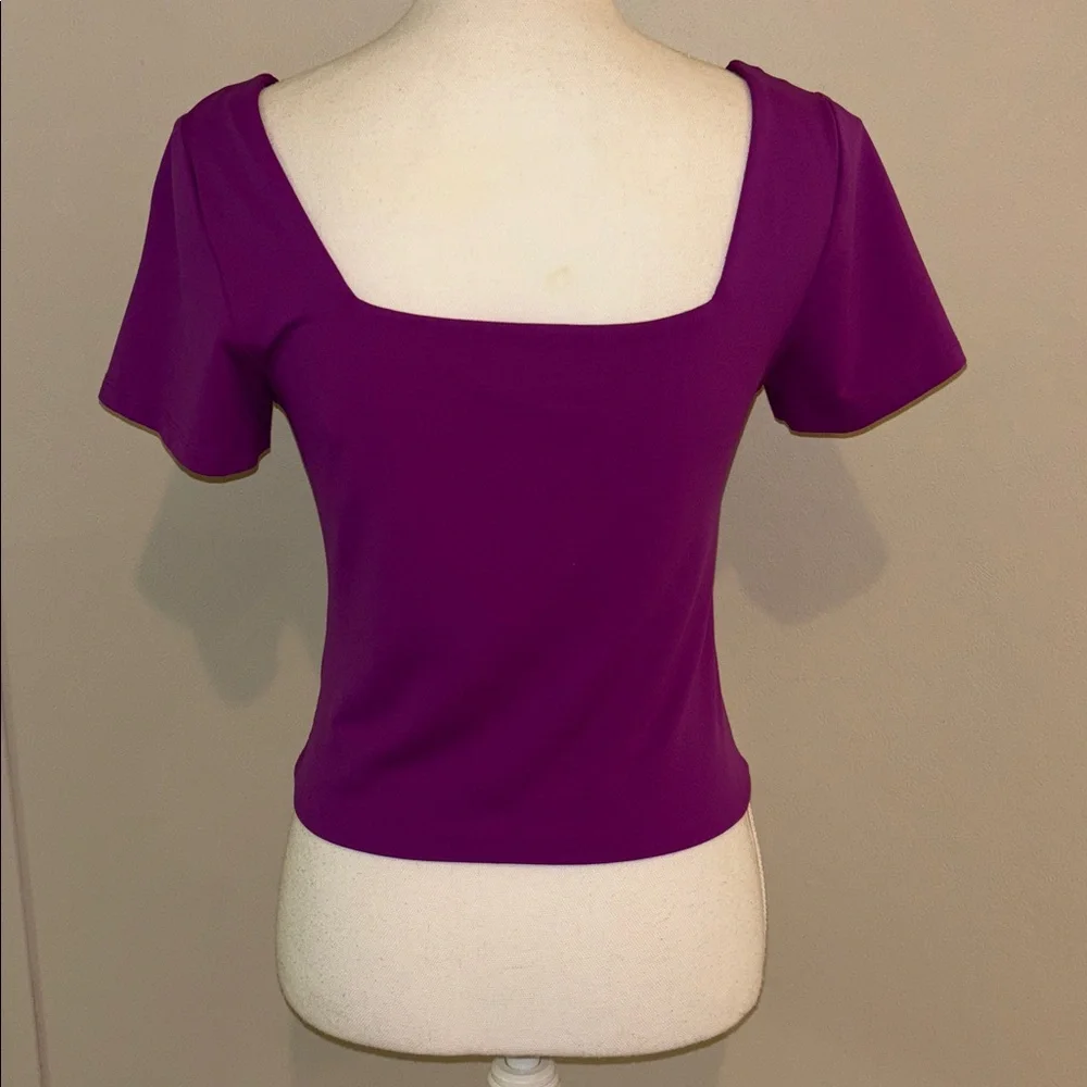 Aritzia | Tops | Babaton Aritzia Cropped Top | Poshmark